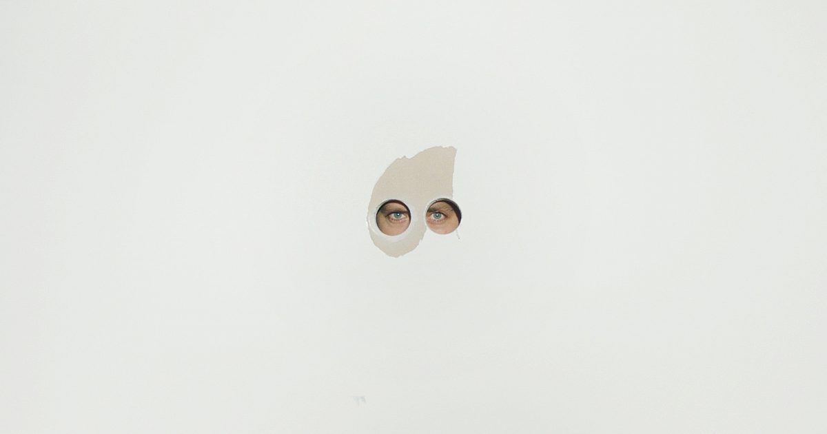 Matthew Chesney | Backlit