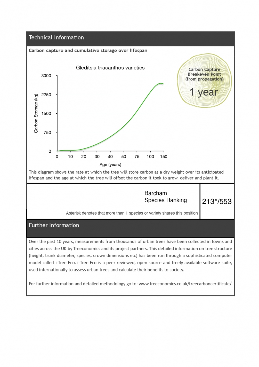 Honey Locust Ruby Lace - Barcham Trees