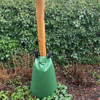 Tree Hydration Bag (Premium) - Barcham Trees