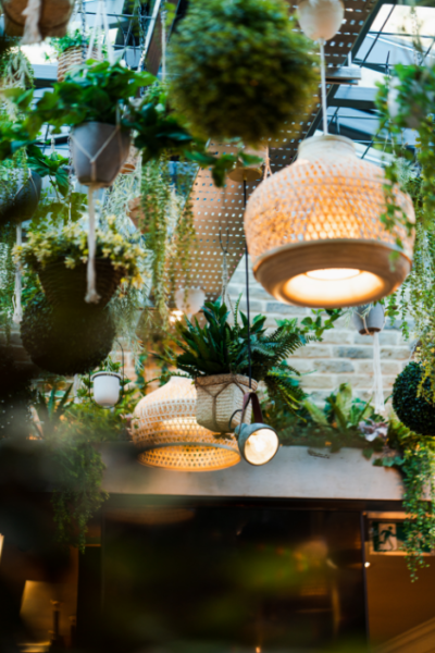 Homepage - The Albyn Bar & Restaurant