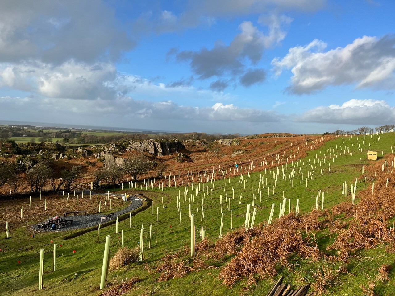 Woodlands for Water – The First Planting Season… | The Rivers Trust