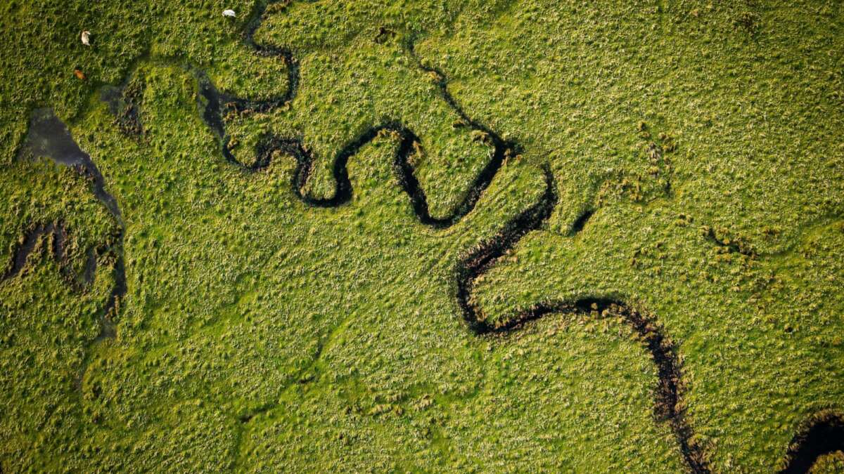 Our impact | The Rivers Trust