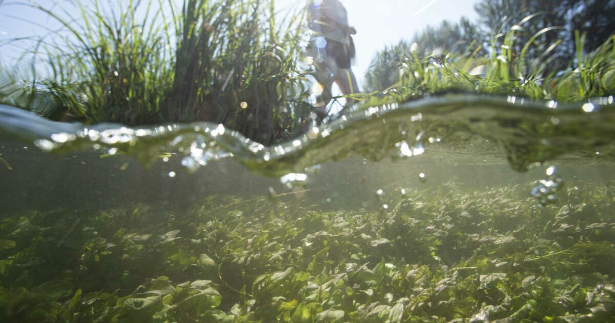 State of Our Rivers | The Rivers Trust