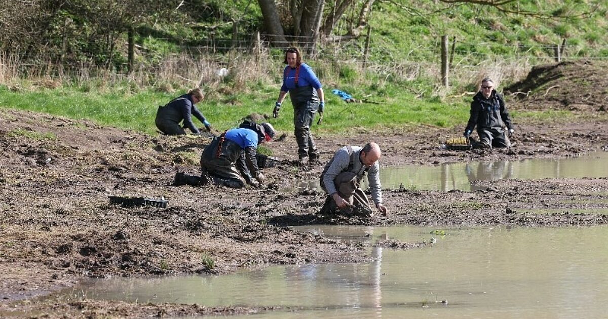 Our services | The Rivers Trust