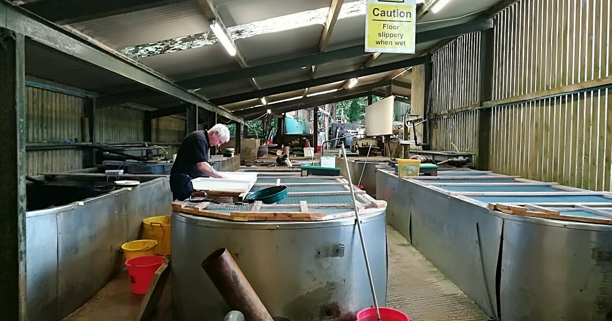 Across the Divides: Ireland's Biodiversity Crisis | The Rivers Trust