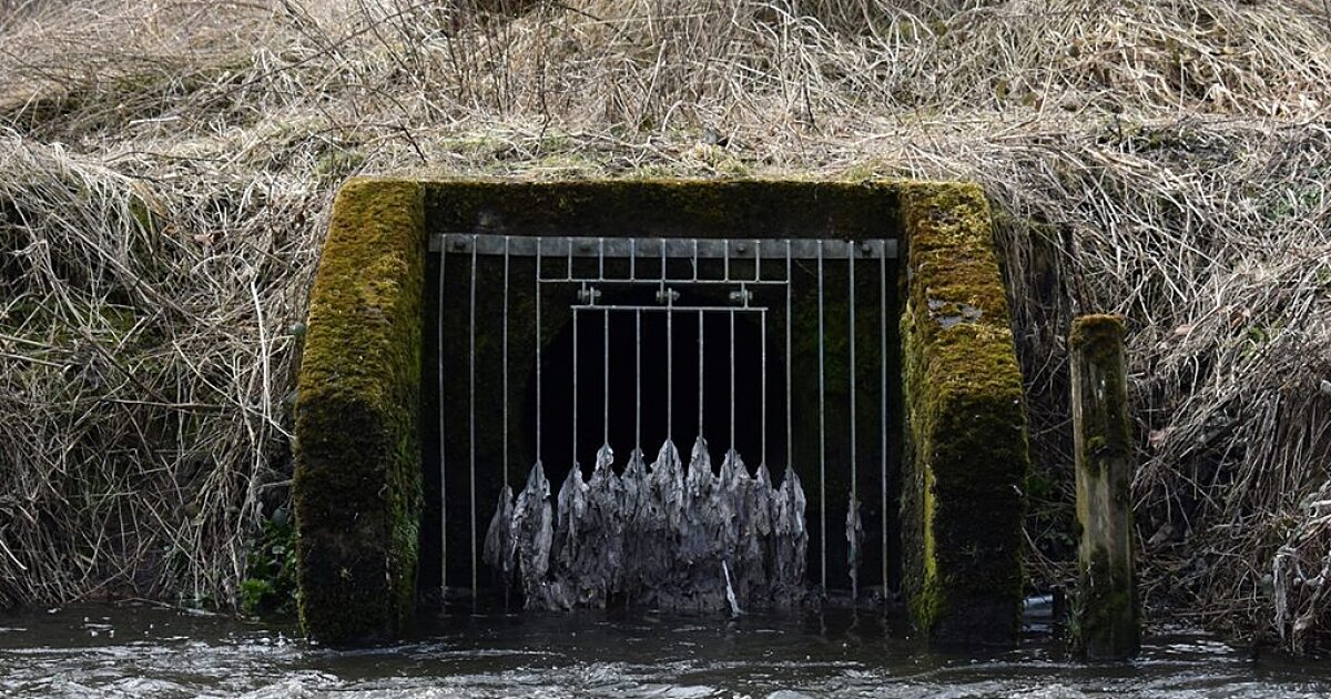 Combined Sewer Overflow | The Rivers Trust