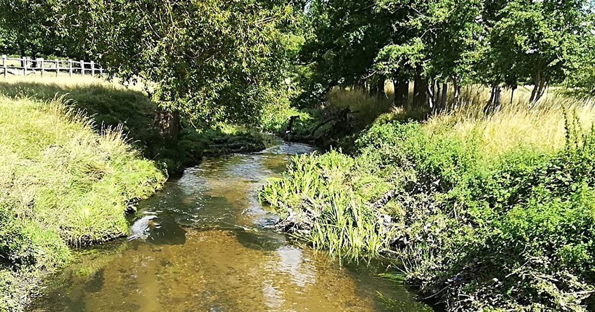 Press release: The Rivers Trust responds to… | The Rivers Trust