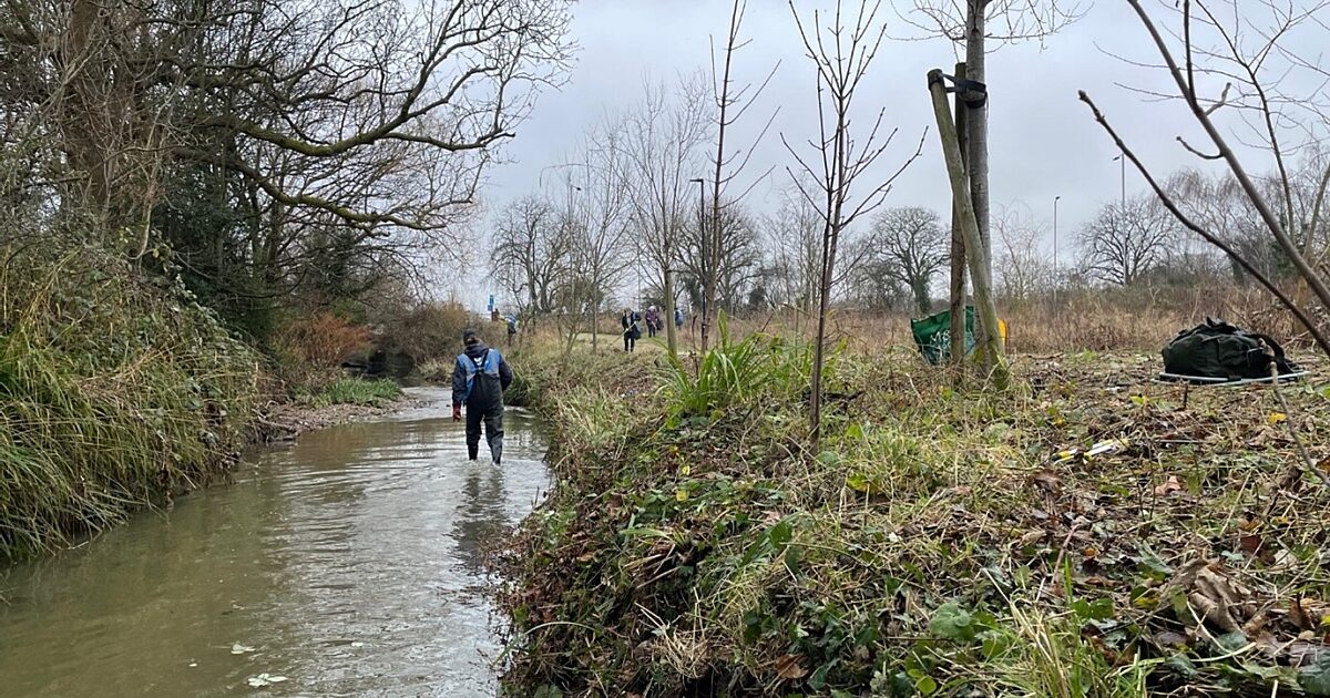 Blog: Volunteering with The Rivers Trust | The Rivers Trust