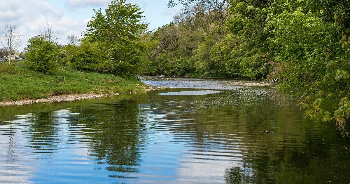 Rivers Trust research highlights the chemical… | The Rivers Trust