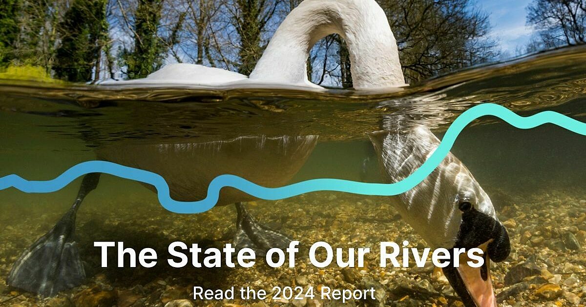 How unhealthy are our rivers? Dive into the latest… | The Rivers Trust