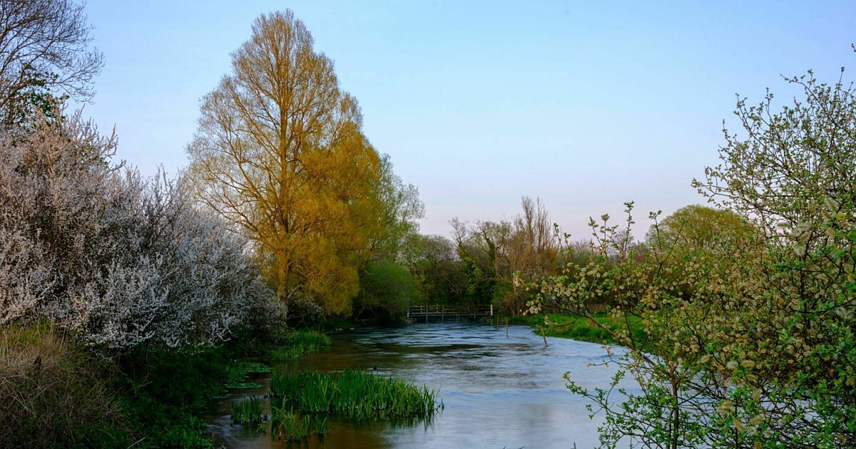 What makes a healthy river? | The Rivers Trust