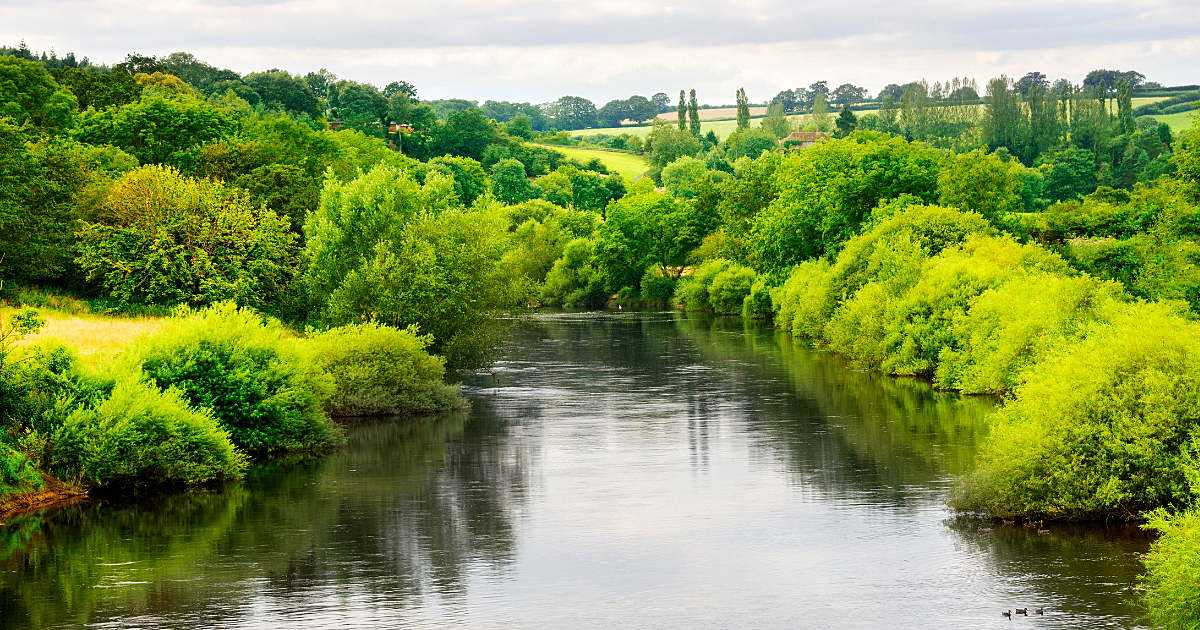 Rambling about Rivers Ep 11: Unlocking the Severn | The Rivers Trust