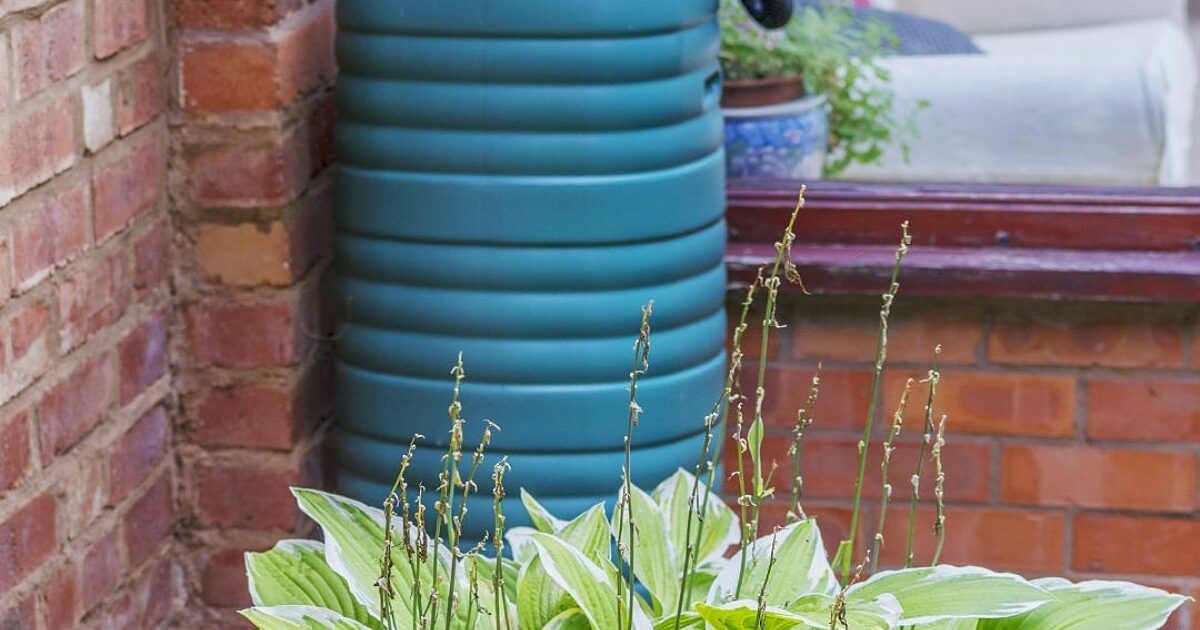 Sustainable Drainage Systems (SuDS) | The Rivers Trust