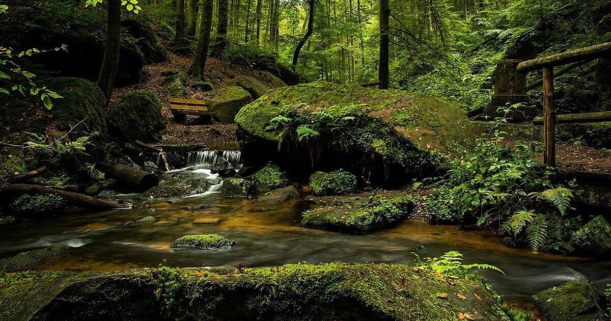 Seven Wonders of the (Rivers) World | The Rivers Trust