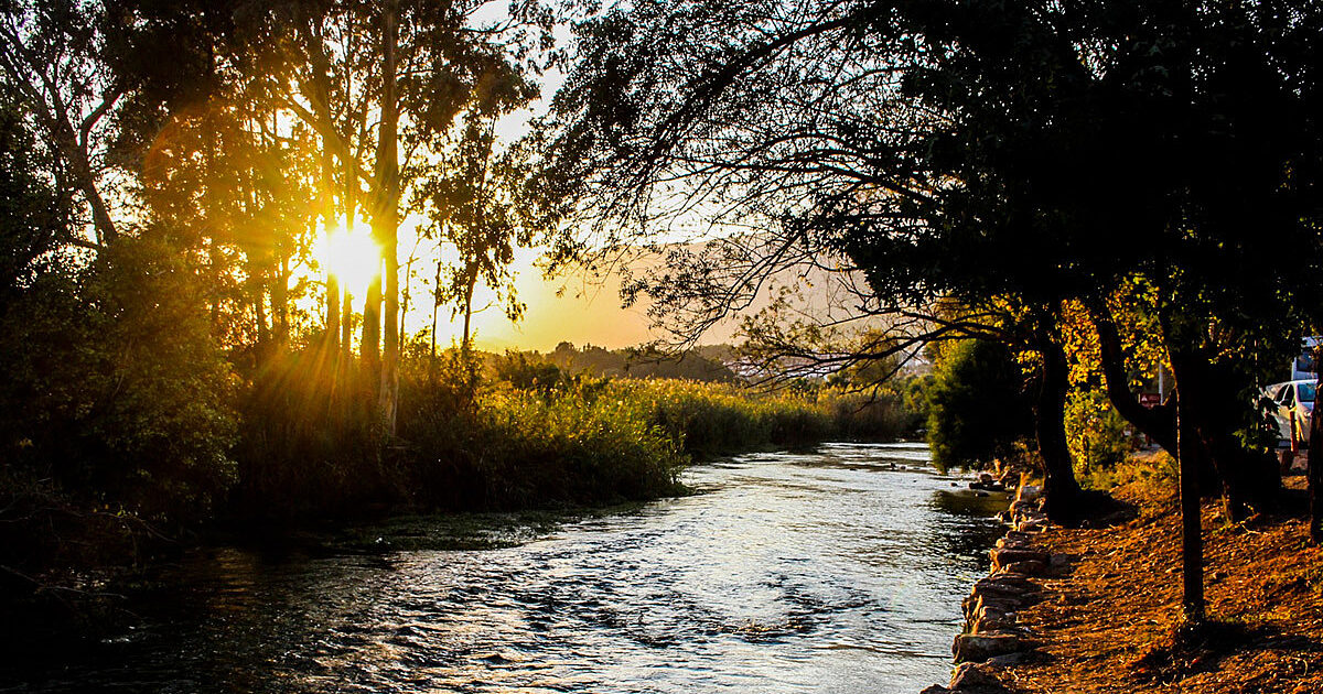 The Rivers Trust welcomes the long-awaited 25 Year… | The Rivers Trust