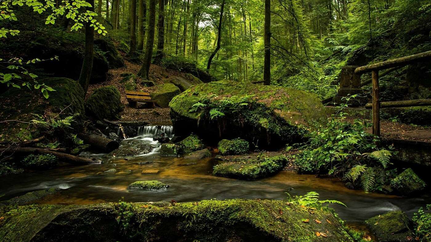 Restoring rivers | The Rivers Trust