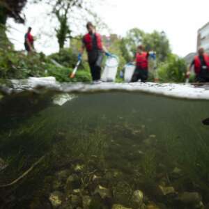 About us | The Rivers Trust