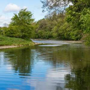 Together, for Rivers | The Rivers Trust