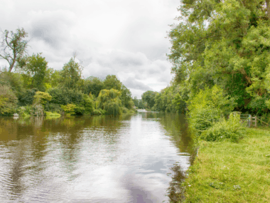 News | The Rivers Trust