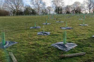 Woodlands for Water | The Rivers Trust