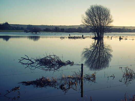 Our Projects | The Rivers Trust