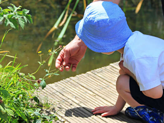 Together, for Rivers | The Rivers Trust