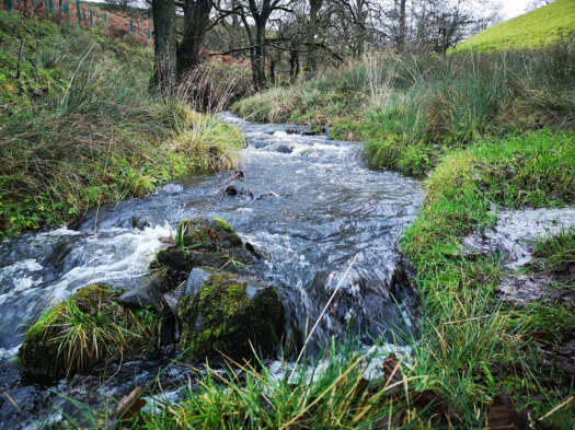 Our Projects | The Rivers Trust