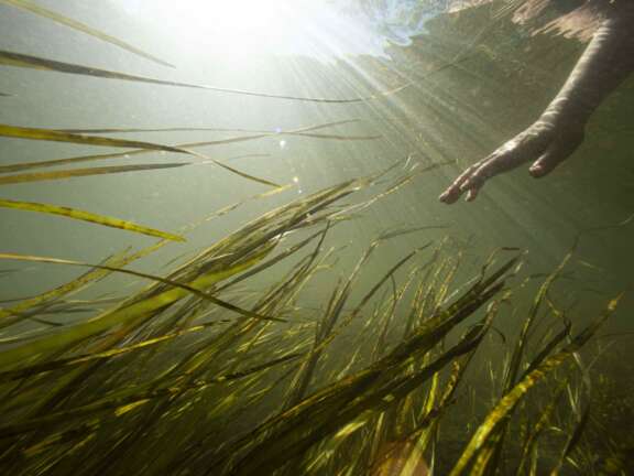 State of Our Rivers | The Rivers Trust