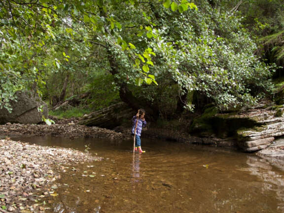 About us | The Rivers Trust