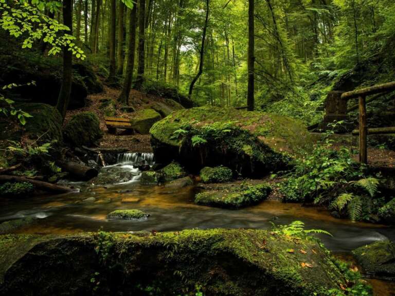 Restoring rivers | The Rivers Trust