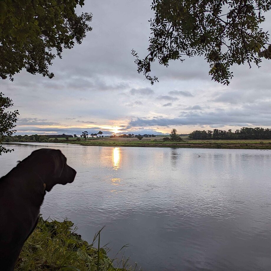 Together, for Rivers | The Rivers Trust