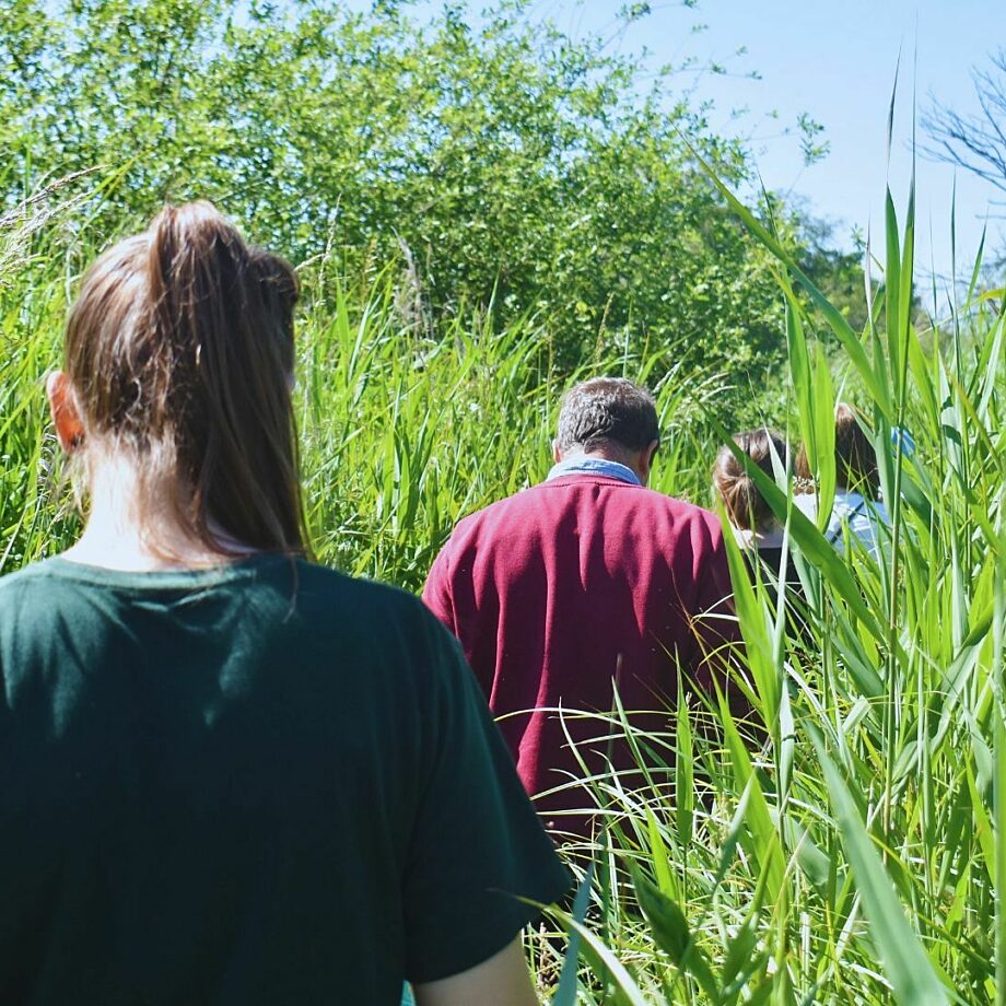 Our work | The Rivers Trust