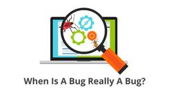 Blog: When Is A Bug Really A Bug? | Software Bugs