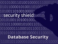 Blog: A Guide to Database Security | Blueberry Consultants