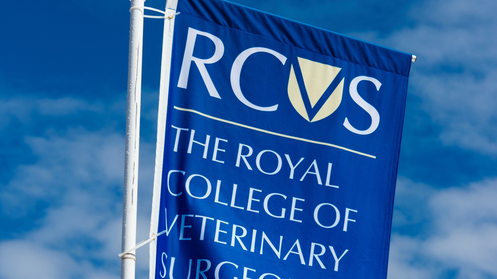 RCVS launches 2 new awards for 2021 to celebrate community and ...