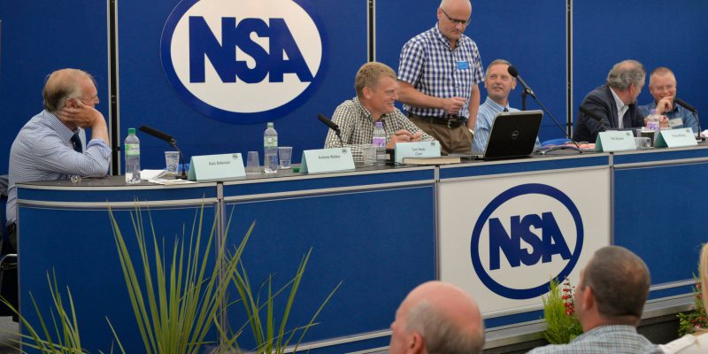 Plans beginning to take shape for NSA Sheep 2022 - Agriland.co.uk