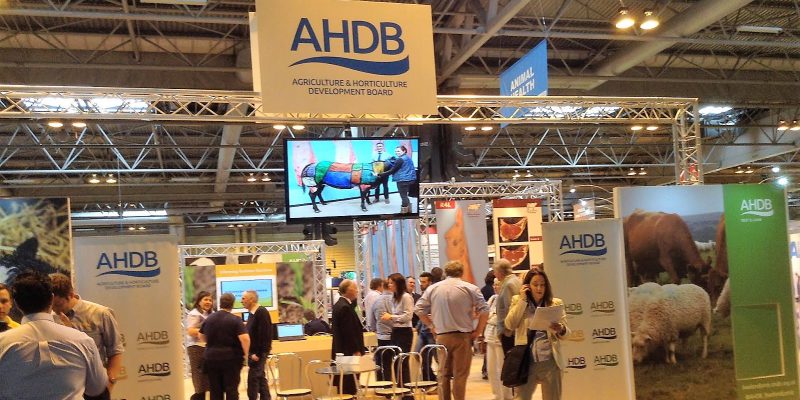 AHDB to take on up to 15 new board members - Agriland.co.uk