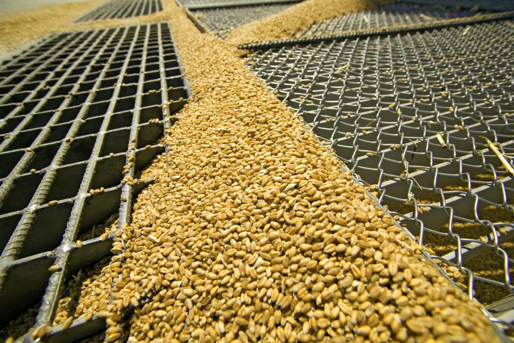 Grain price: Last week saw positive moves - Agriland.co.uk