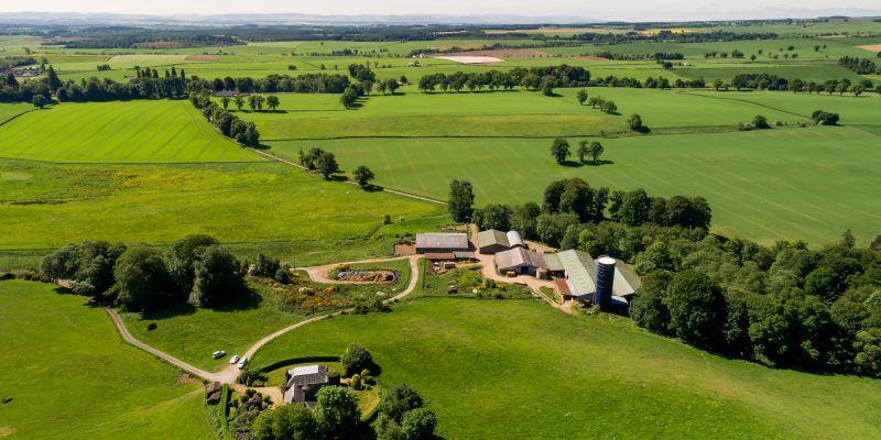 Extensive and productive mixed farm on the market for £5,474/ac ...