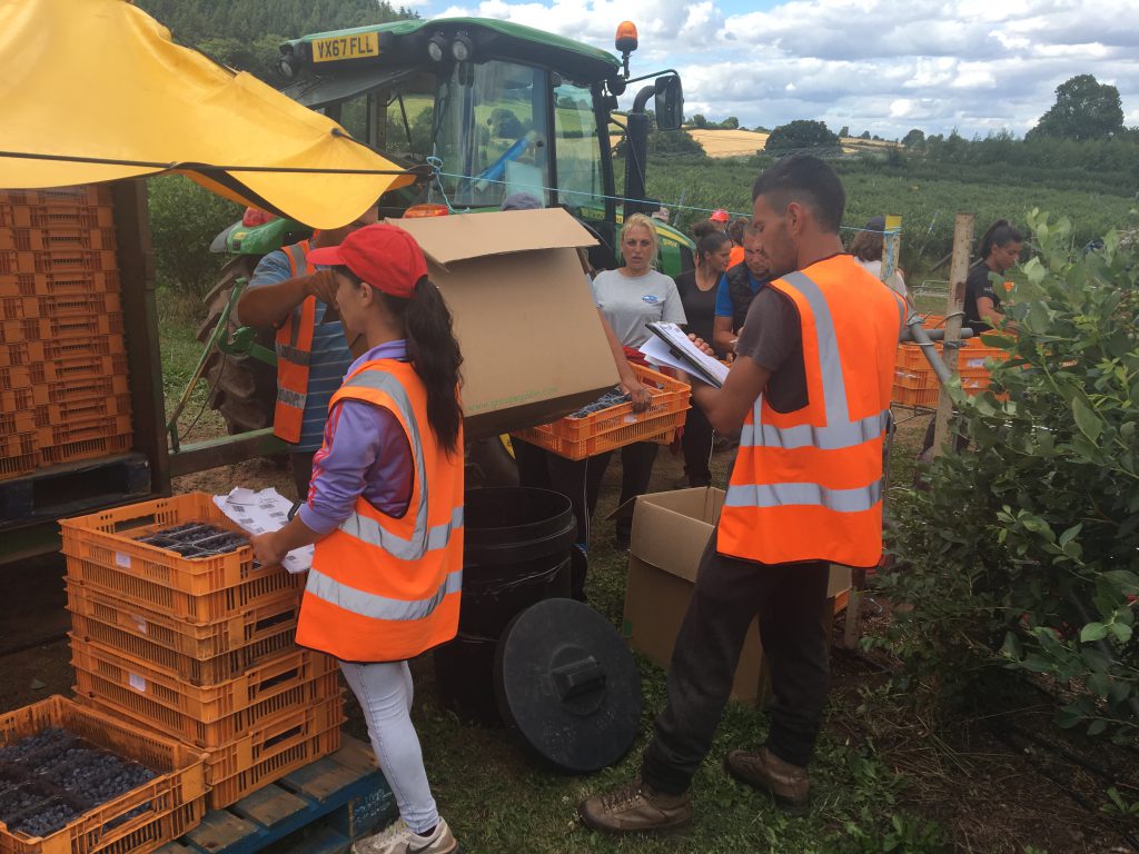 Growing champions in the next generation of fruit-pickers - Agriland.co.uk