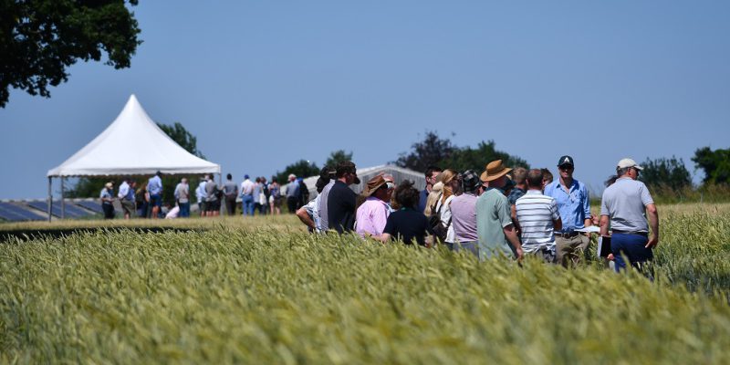 Business opportunities to top agenda at UK's largest organic farm event ...