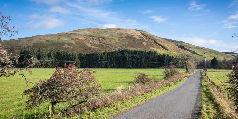 How upland farms have seen benefits from small areas of woodland ...
