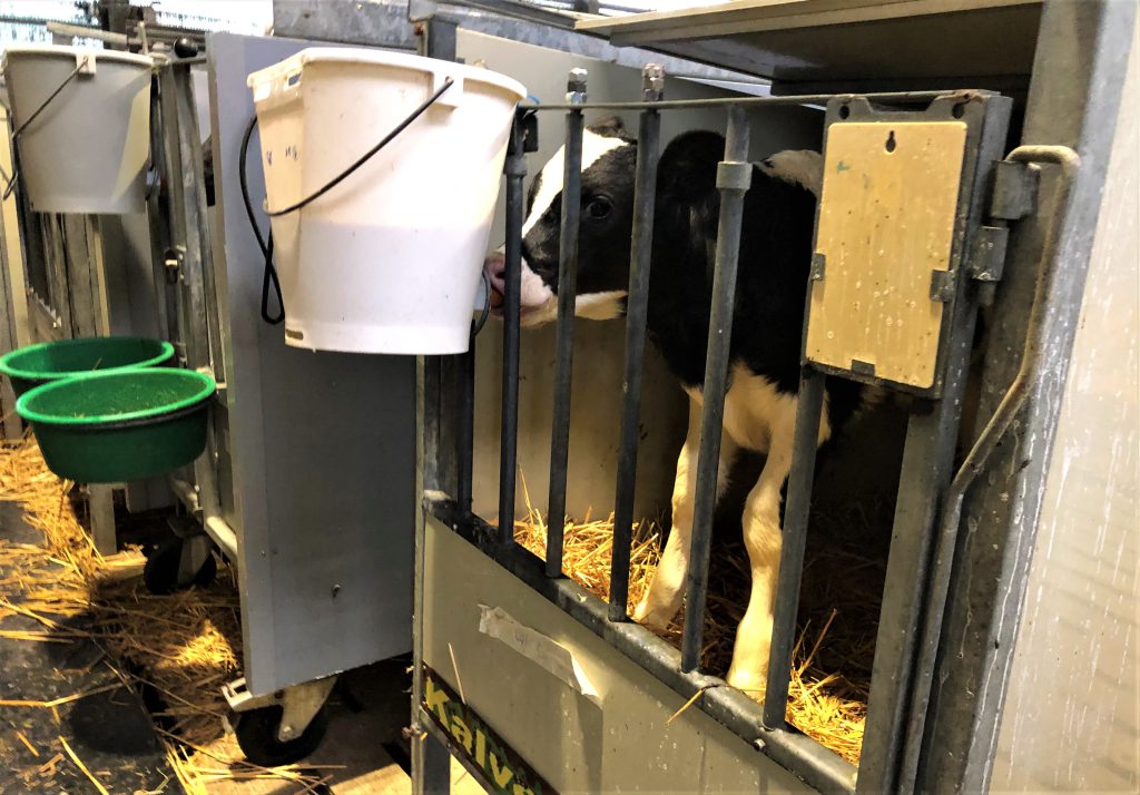 Pics: Efficient ways of heating and defrosting colostrum in spring 2020 ...