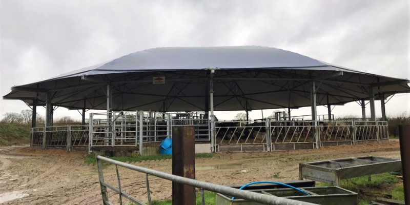 Rearing 600 calves on contract and operating a beef-finishing ...