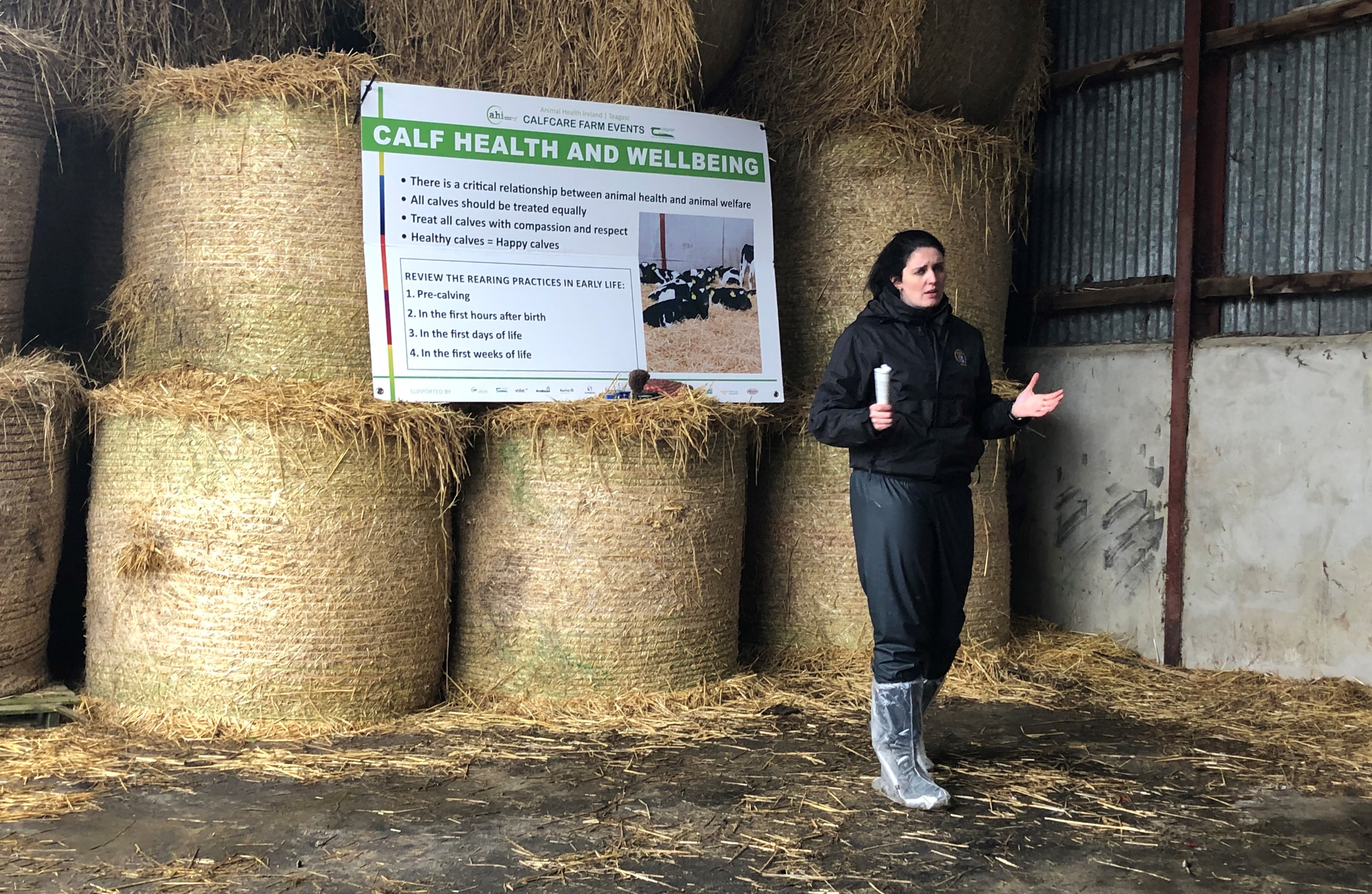 ‘Calf health is a good measure of calf welfare’ on farms - Agriland.co.uk