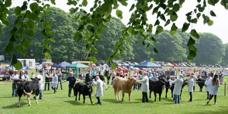 Full steam ahead for summer 2020's only agricultural show - Agriland.co.uk