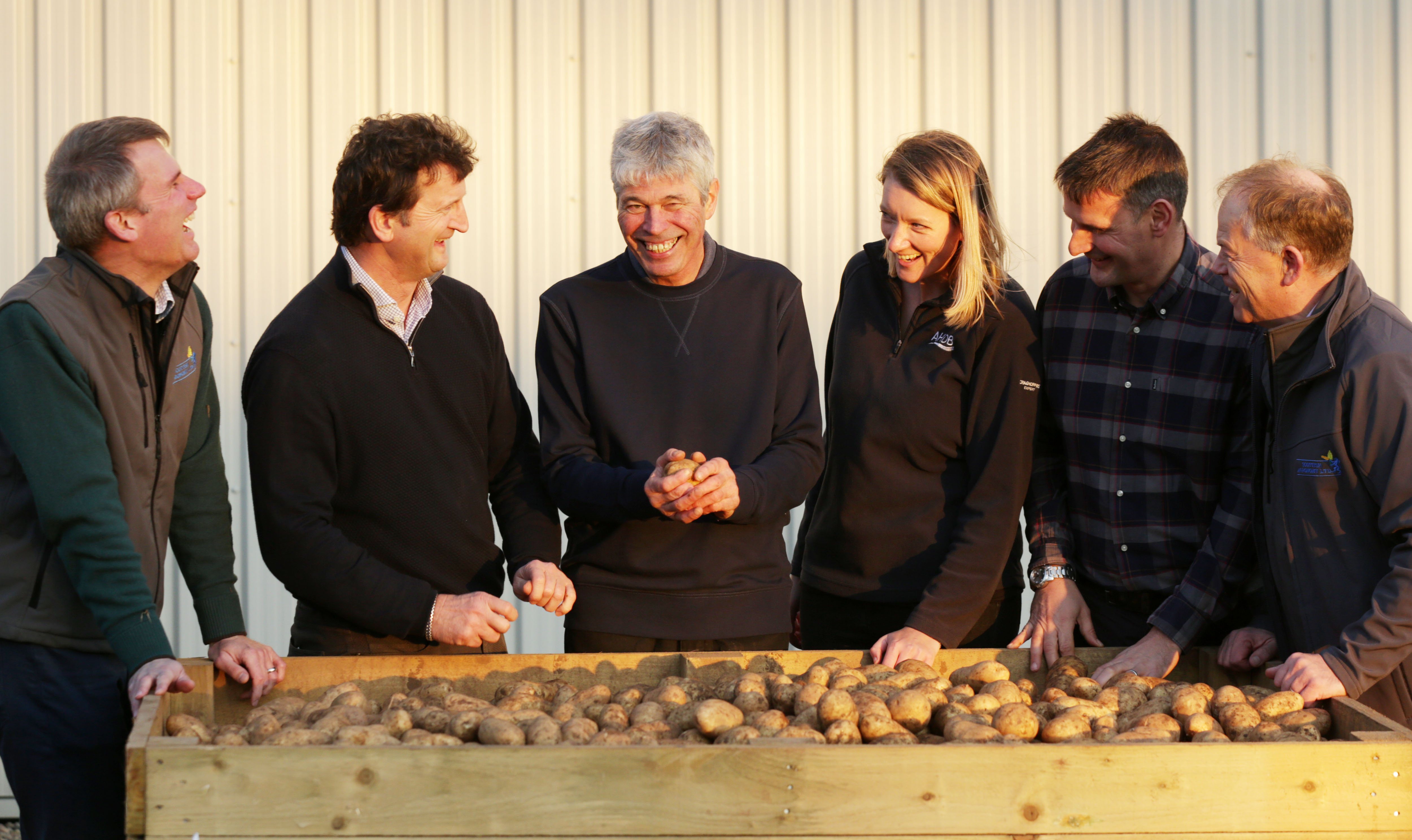 Strategic Potato Farm Scotland looks for solutions for the seed ...