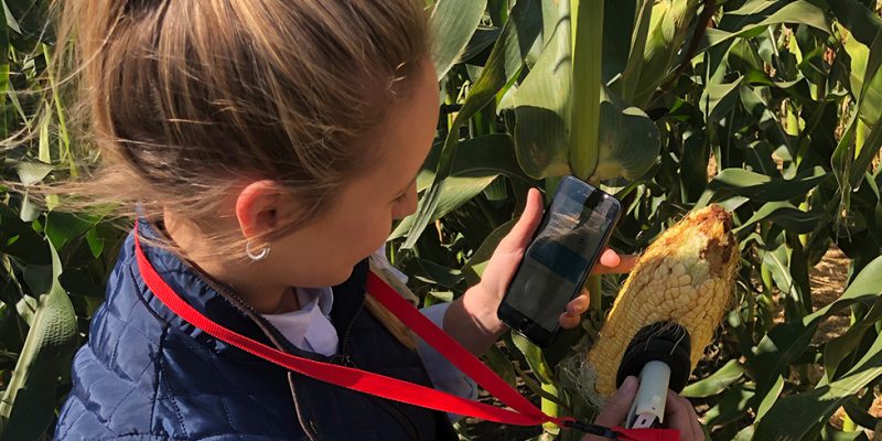 Pocket-sized moisture metre in the corn fields of the US - Agriland.co.uk