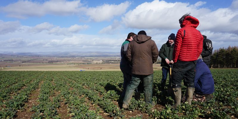 Soil discussion group drives sustainable change - Agriland.co.uk