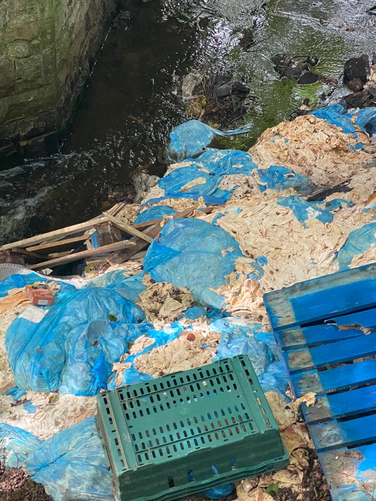 2t of meat waste dumped in Lanarkshire burn - Agriland.co.uk